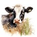 11 Moo-velous Dairy Cow PNGJPGPDF Clipart 11 Digital Download Animal ...