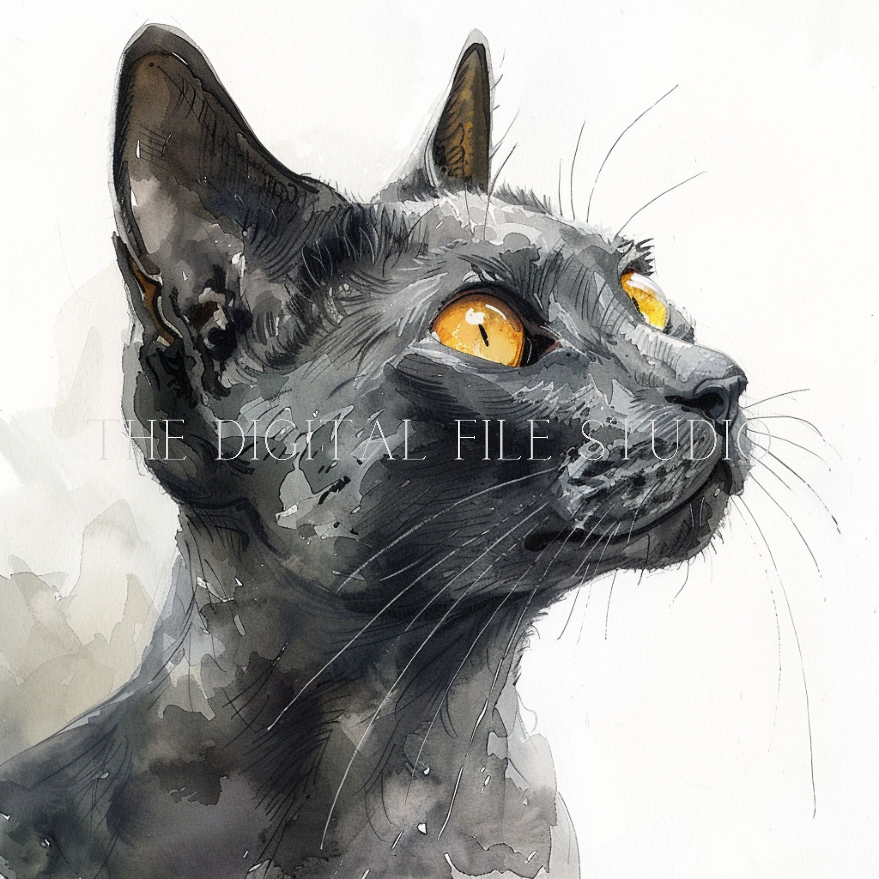 12 High-quality Korat Cat PNG JPG PDF Cat Clipart Watercolor Card ...