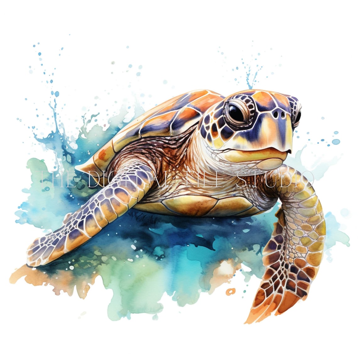 12 Turtle PNGJPGPDF Clipart Digital Download Animal Images Wildlife Art ...