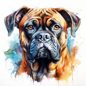 12 High-quality Bullmastiff PNG JPG PDF Dog Clipart Watercolor Card ...