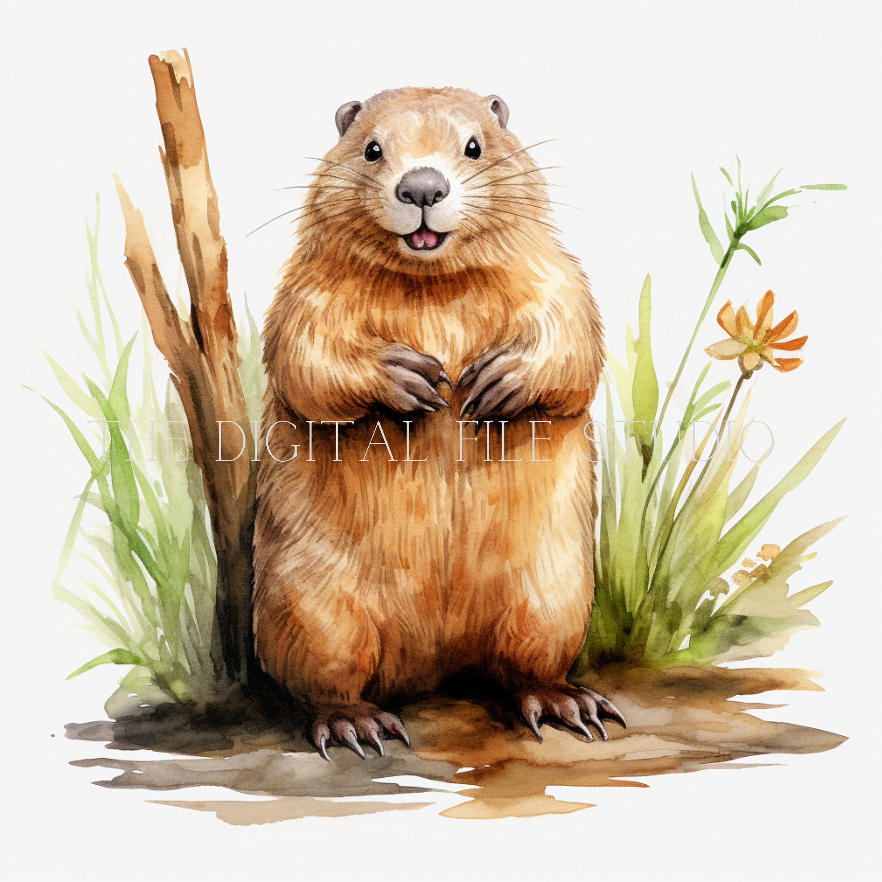 12 Beaver PNGJPGPDF Clipart 12 Digital Download Animal Images Animal ...