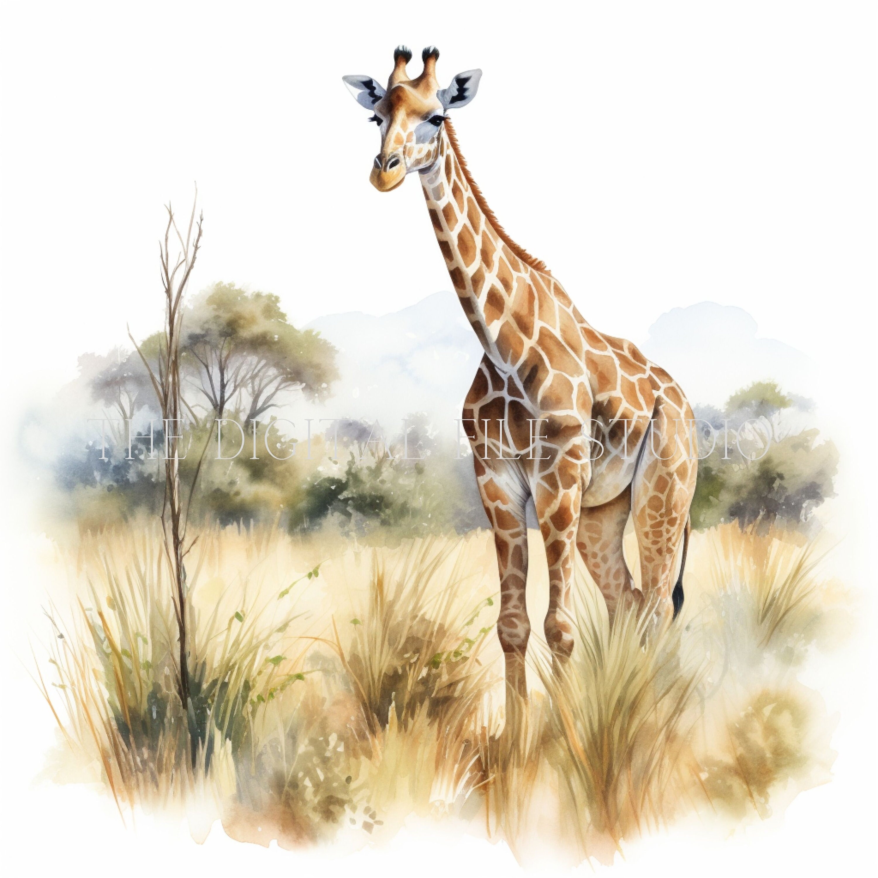Giraffe Clipart Tribute to Africa's Giant 24 Digital Download Animal ...