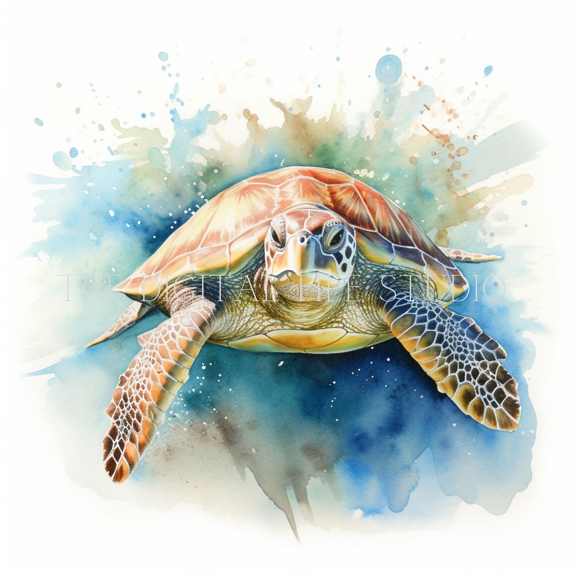 12 Turtle PNGJPGPDF Clipart Digital Download Animal Images Wildlife Art ...