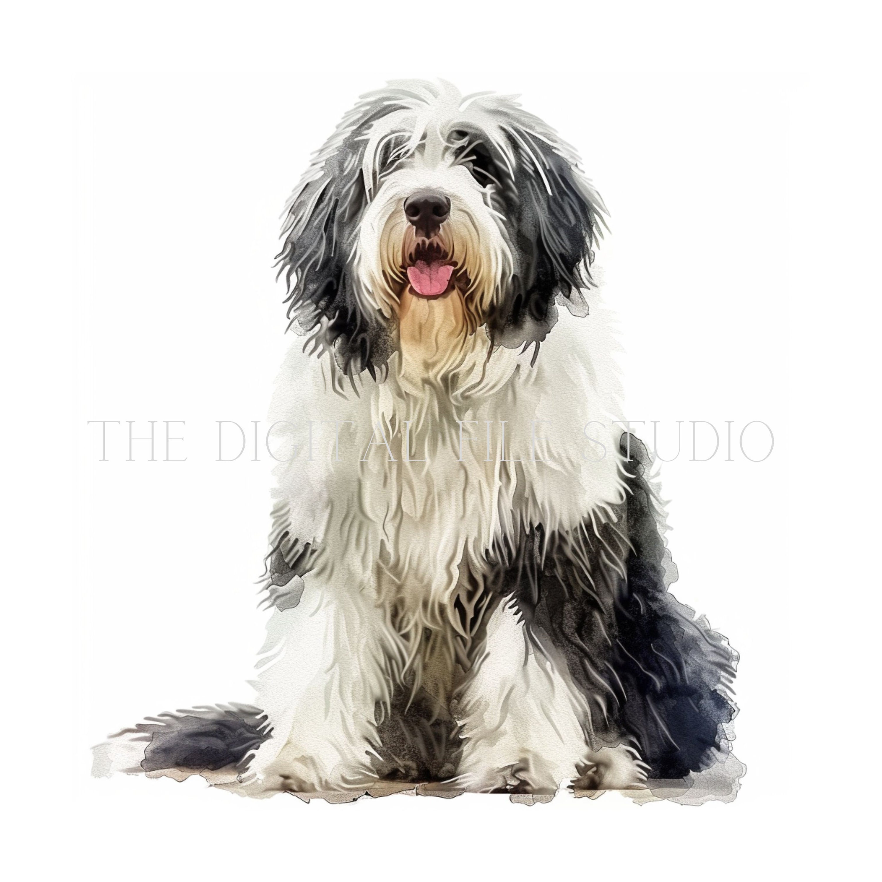 12 High-quality Old English Sheepdog PNG JPG PDF Dog Clipart Watercolor ...