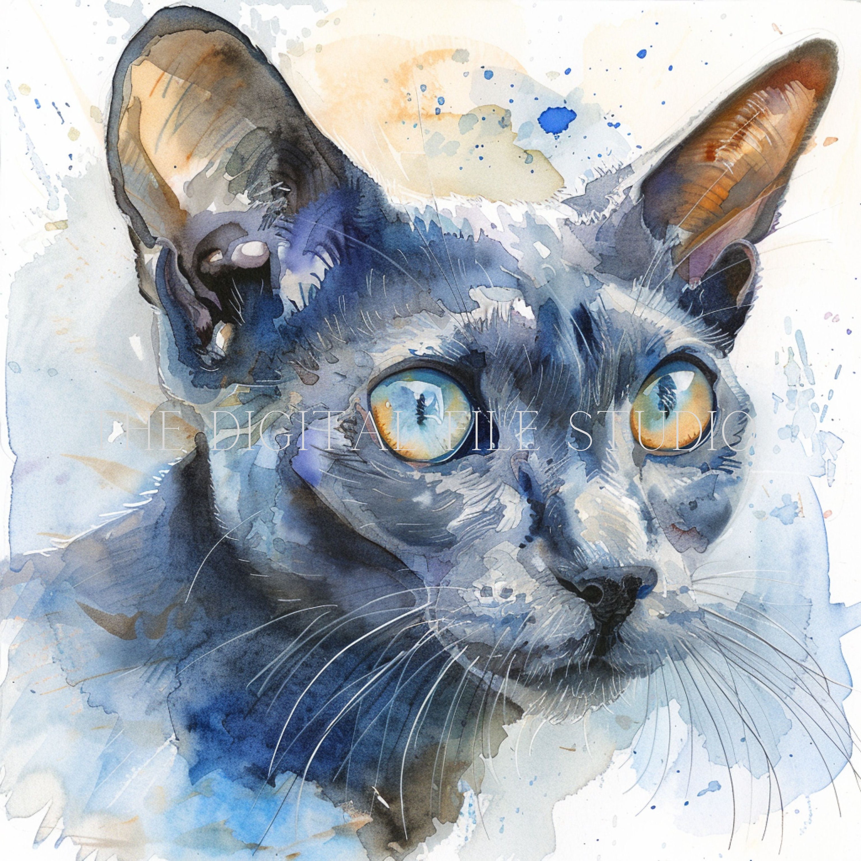 12 High-quality Korat Cat PNG JPG PDF Cat Clipart Watercolor Card ...
