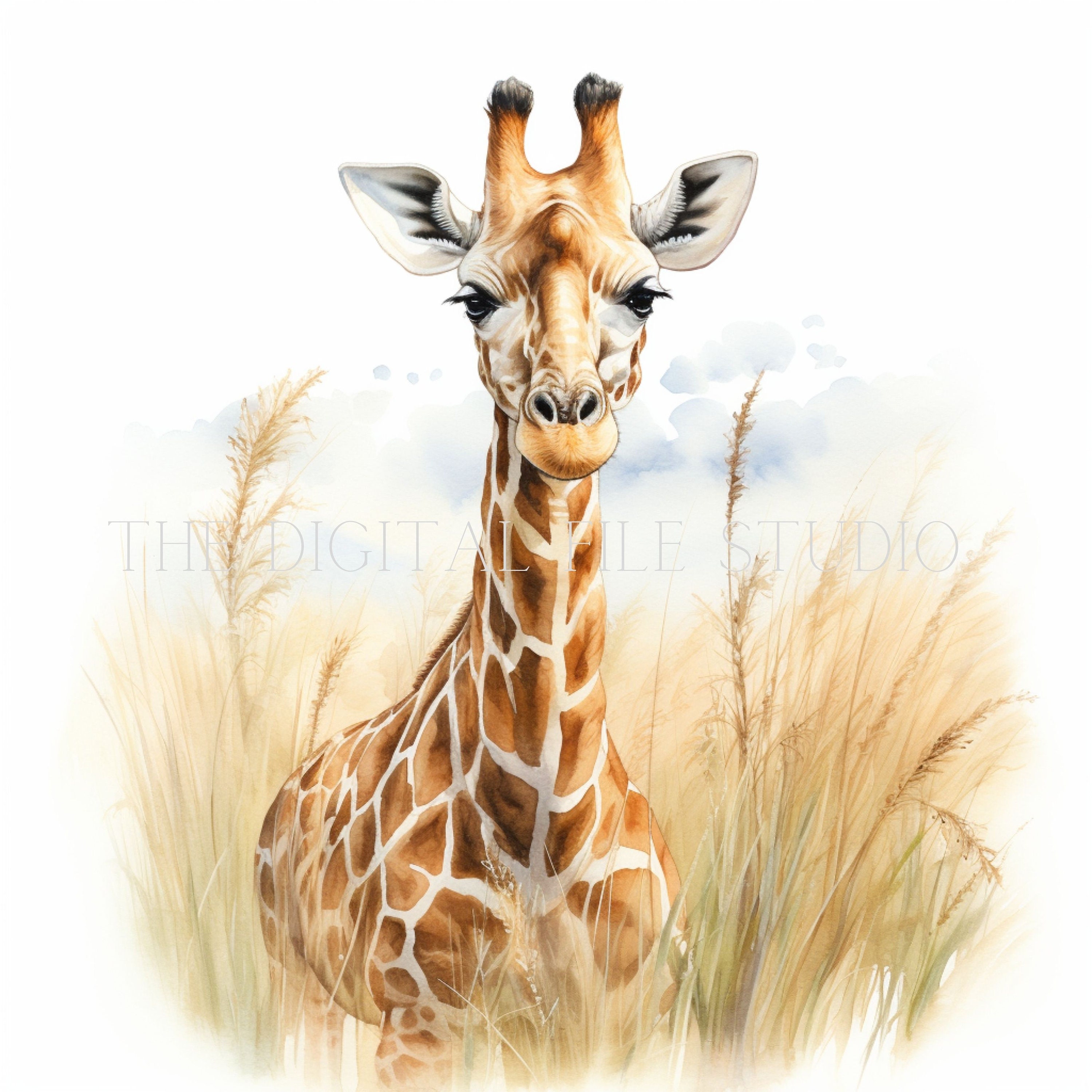 Giraffe Clipart Tribute to Africa's Giant 24 Digital Download Animal ...
