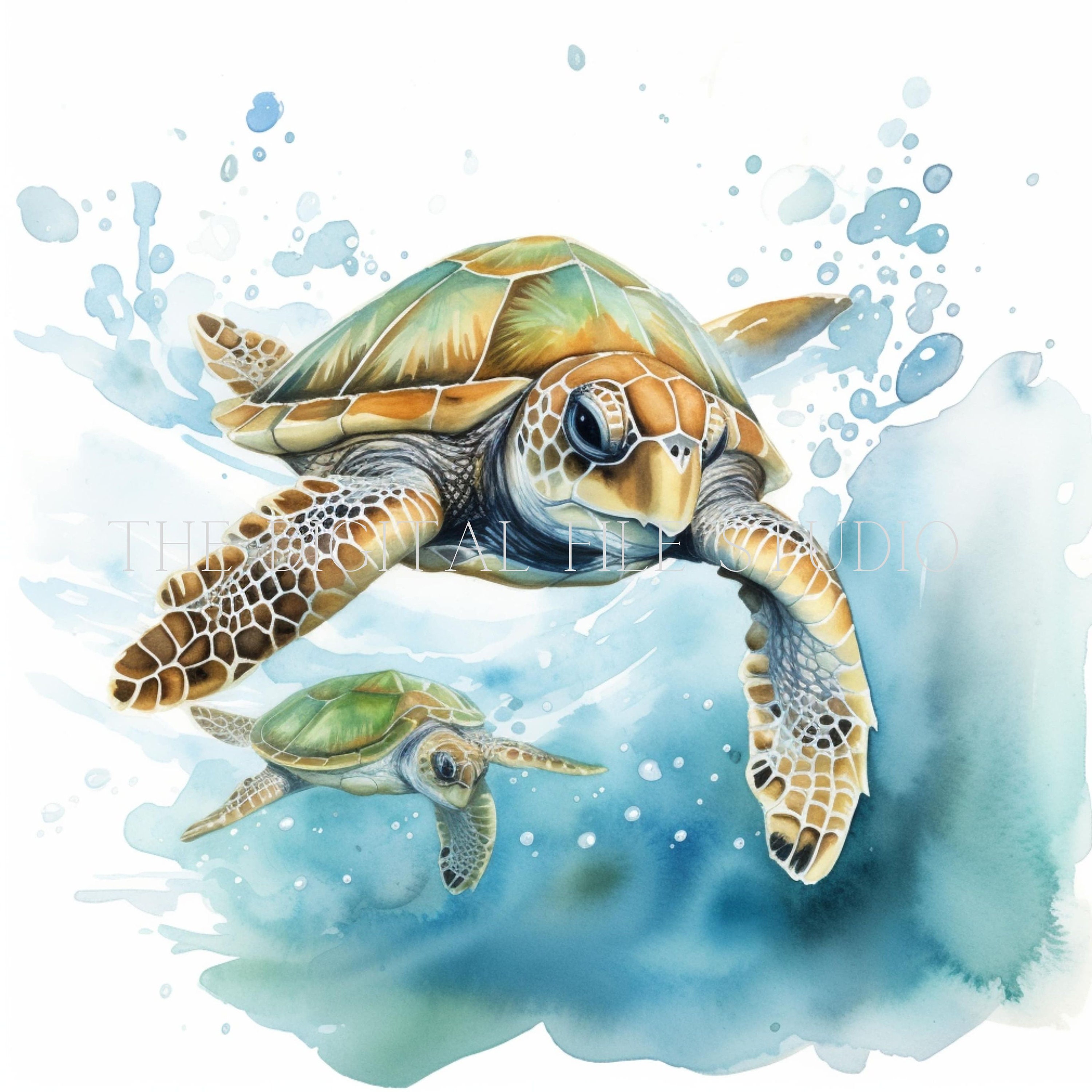 12 Turtle PNGJPGPDF Clipart Digital Download Animal Images Wildlife Art ...