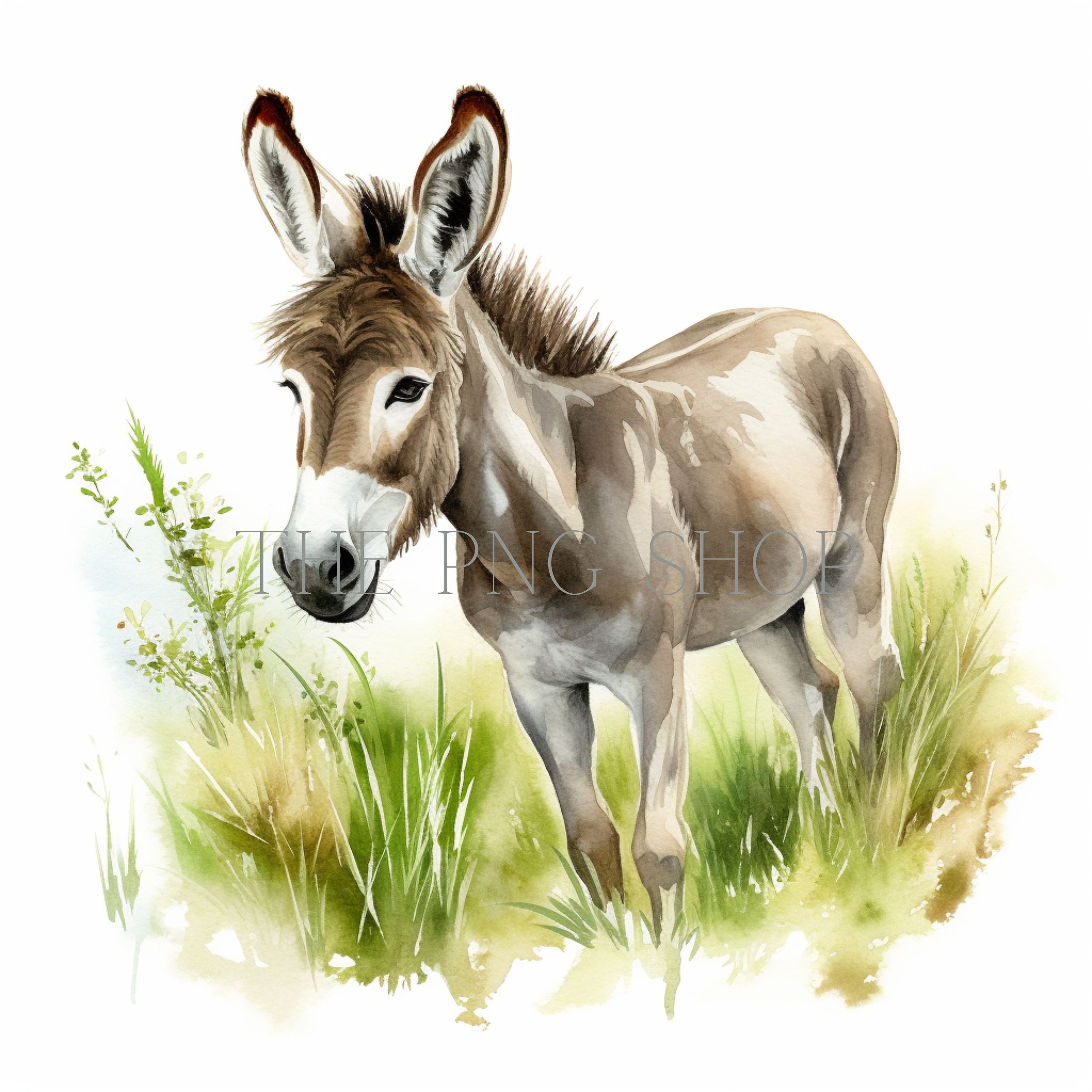 10 Donkey PNGJPGPDF Clipart 10 Digital Download Animal Images Farm Art ...