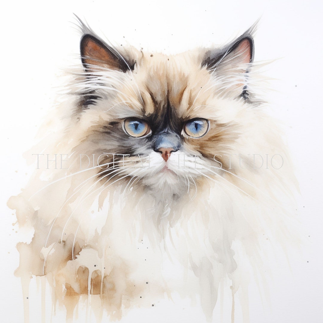 12 High-quality Himalayan Cat PNG JPG PDF Cat Clipart Watercolor Card ...