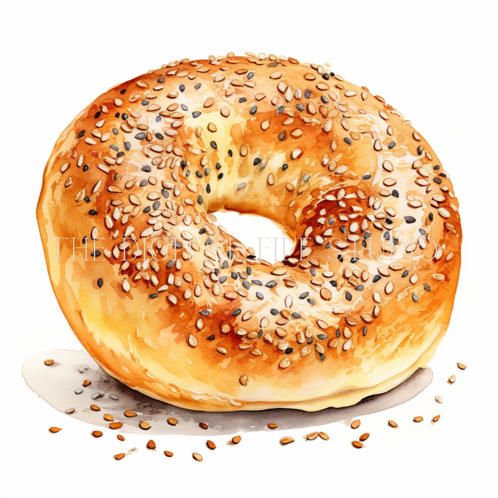 12 Watercolor Bagels Clipart PNGJPGPDF Bagels Digital Images Bagels ...