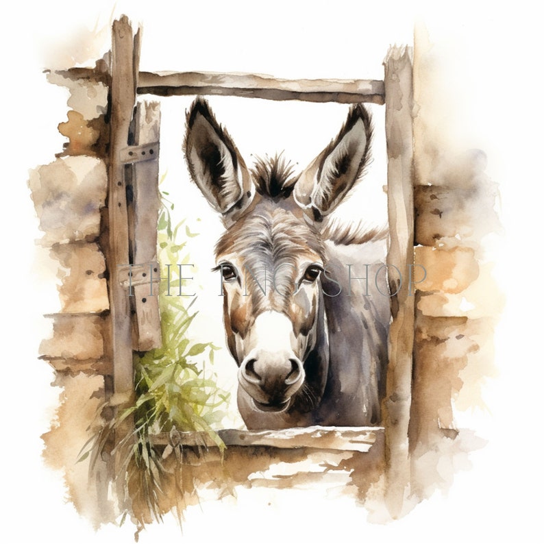 10 Donkey PNGJPGPDF Clipart 10 Digital Download Animal Images Farm Art ...