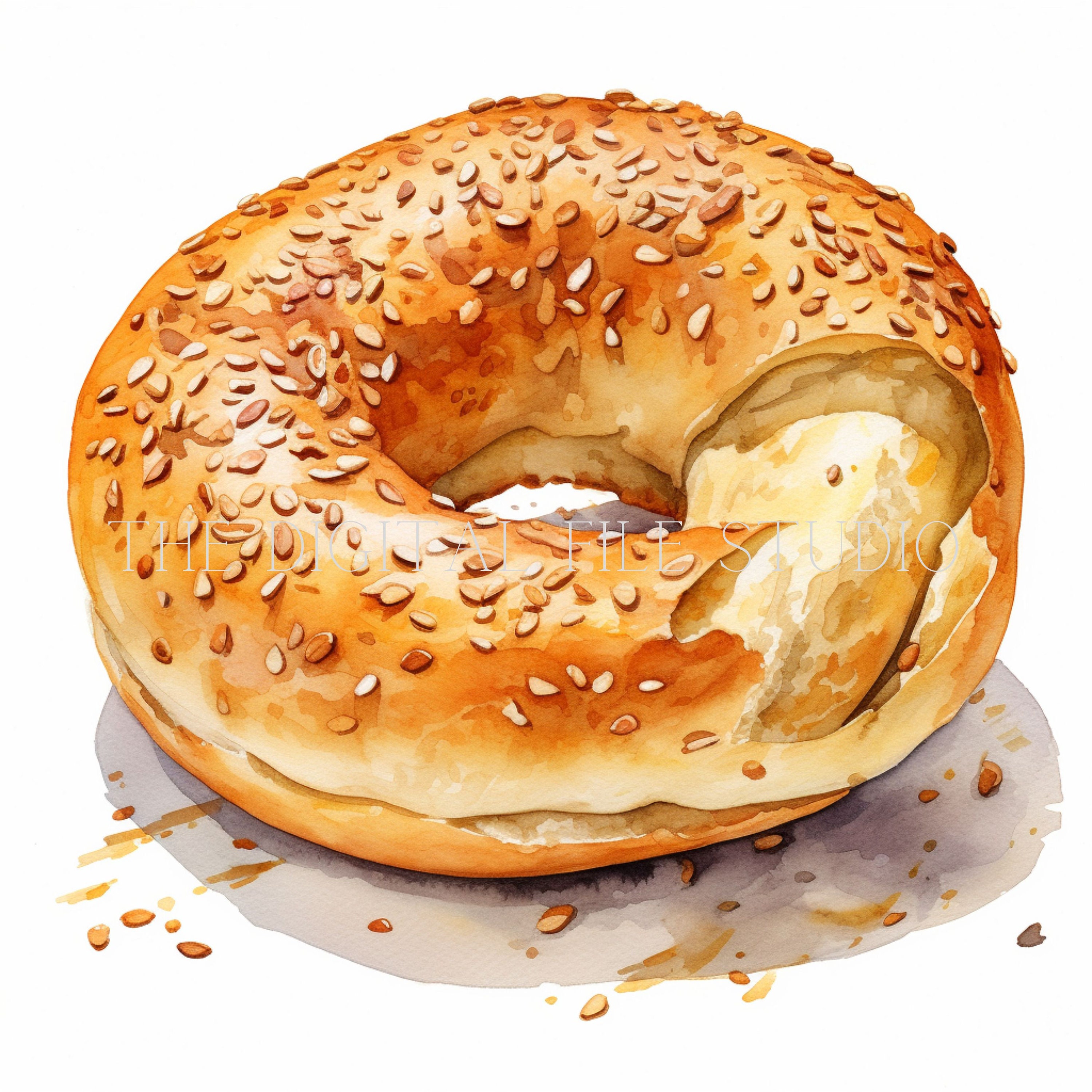 12 Watercolor Bagels Clipart PNGJPGPDF Bagels Digital Images Bagels ...