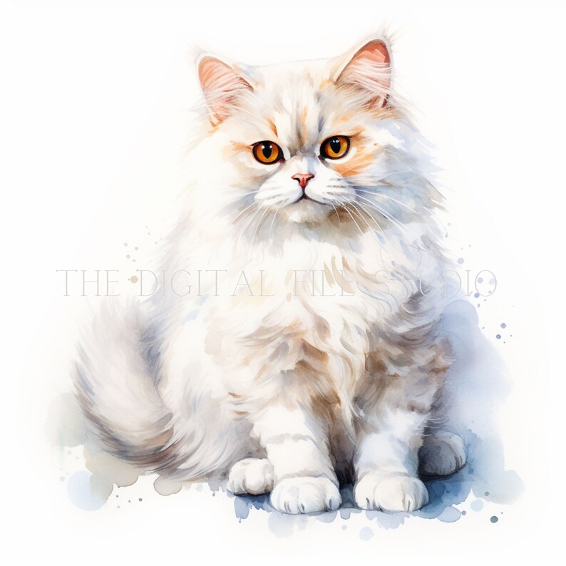 12 High-quality Persian Cat PNG JPG PDF Cat Clipart Watercolor Card ...