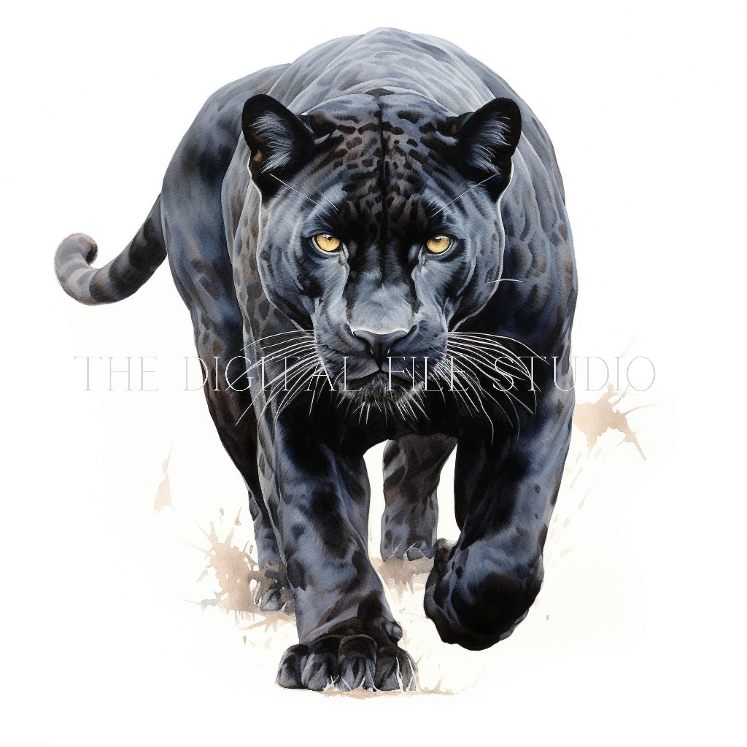 Black Leopard Clipart Tribute to Nature's Elusive Beauty 12 Digital ...