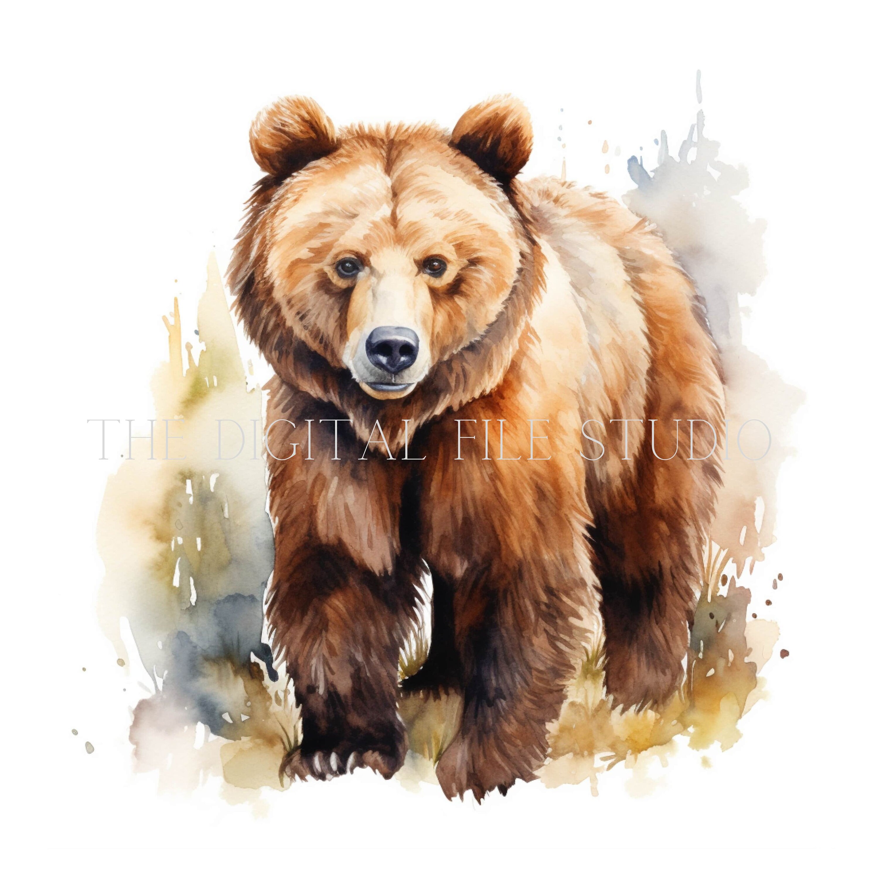 12 Brown Bear PNGJPGPDF Clipart Digital Download Animal Images Wildlife ...