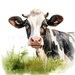 11 Moo-velous Dairy Cow PNGJPGPDF Clipart 11 Digital Download Animal ...