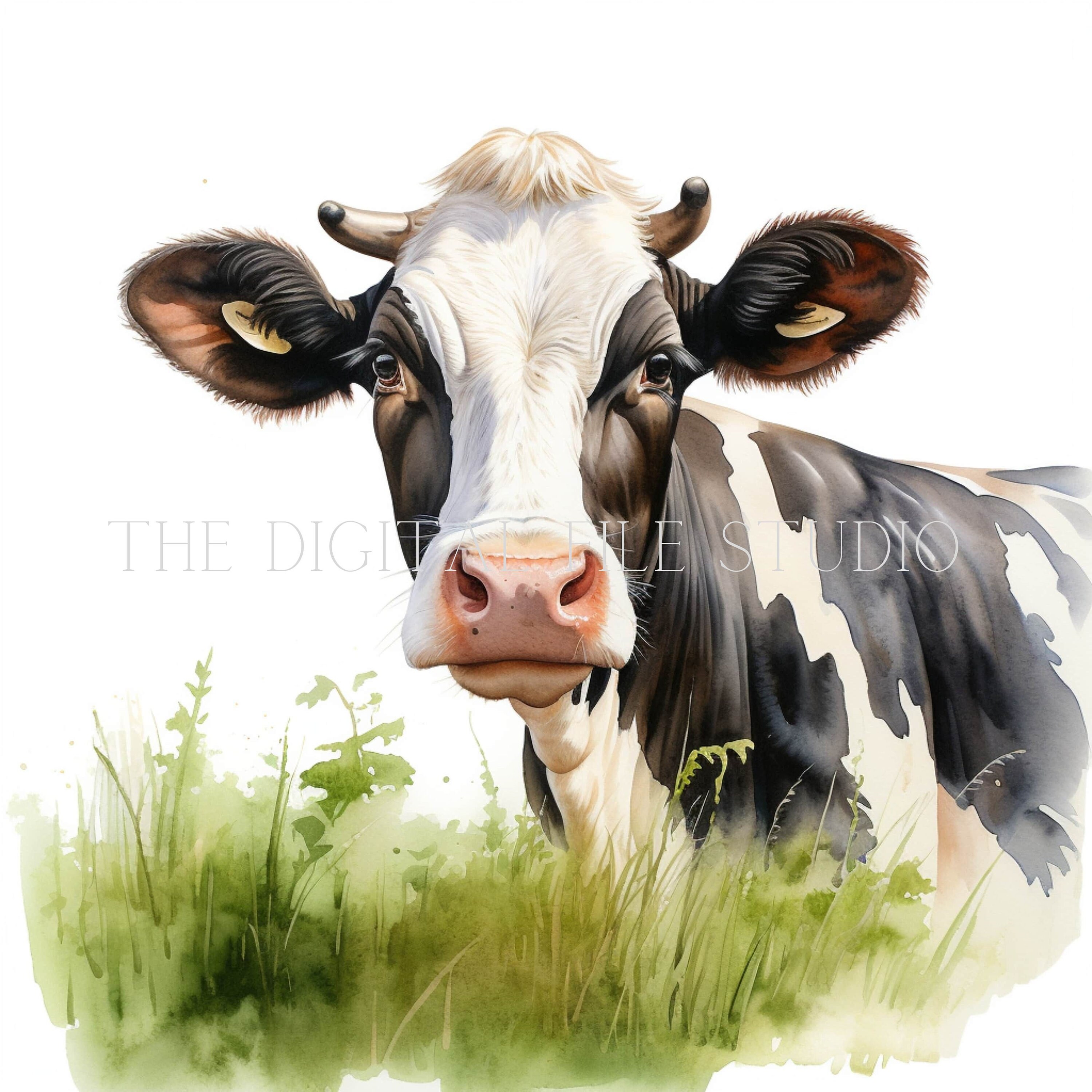 11 Moo-velous Dairy Cow PNGJPGPDF Clipart 11 Digital Download Animal ...