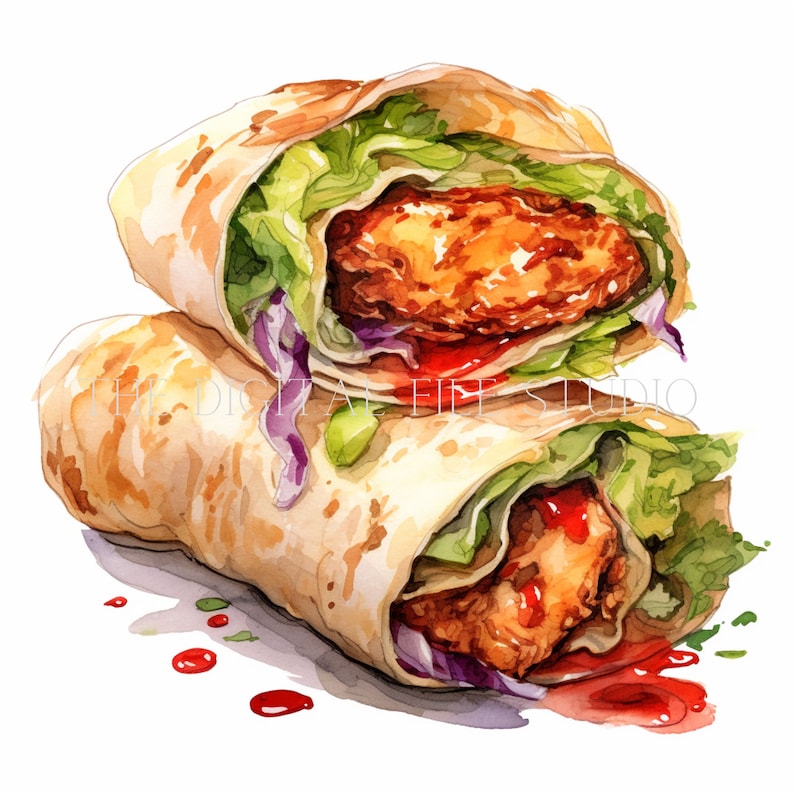 12 Watercolor Chicken Wrap Clipart PNGJPGPDF Chicken Wrap Digital ...