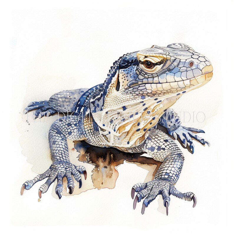 12 Monitor Lizard PNGJPGPDF Clipart 12 Digital Download Animal Images ...