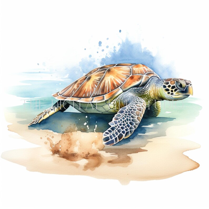 12 Turtle PNGJPGPDF Clipart Digital Download Animal Images Wildlife Art ...