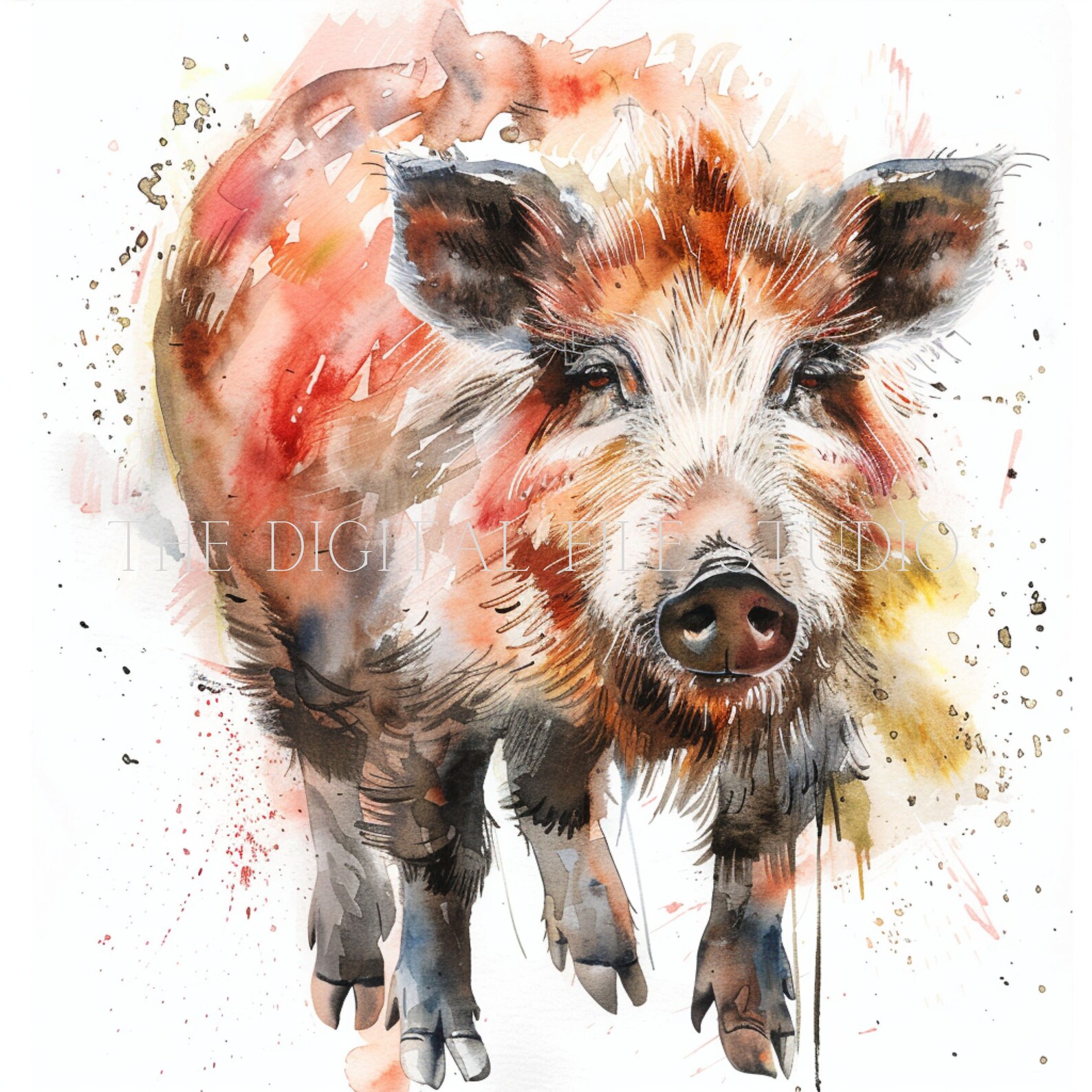 12 Boar PNGJPGPDF Clipart 12 Digital Download Animal Images Animal Art ...