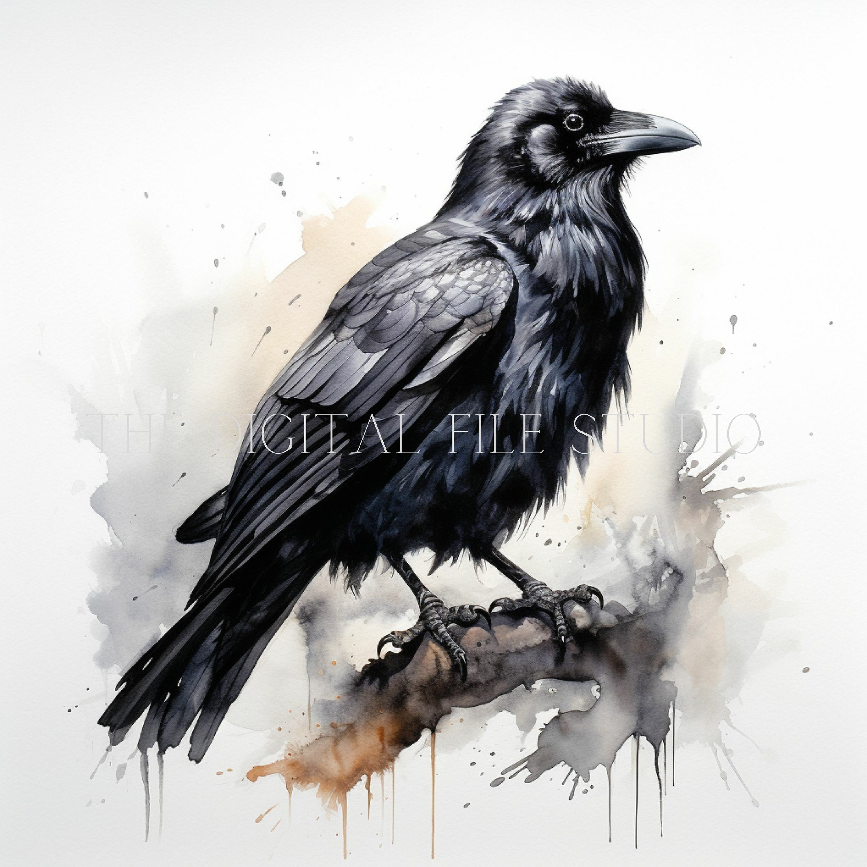 12 Crow PNGJPGPDF Clipart 12 Digital Download Animal Images Animal Art ...