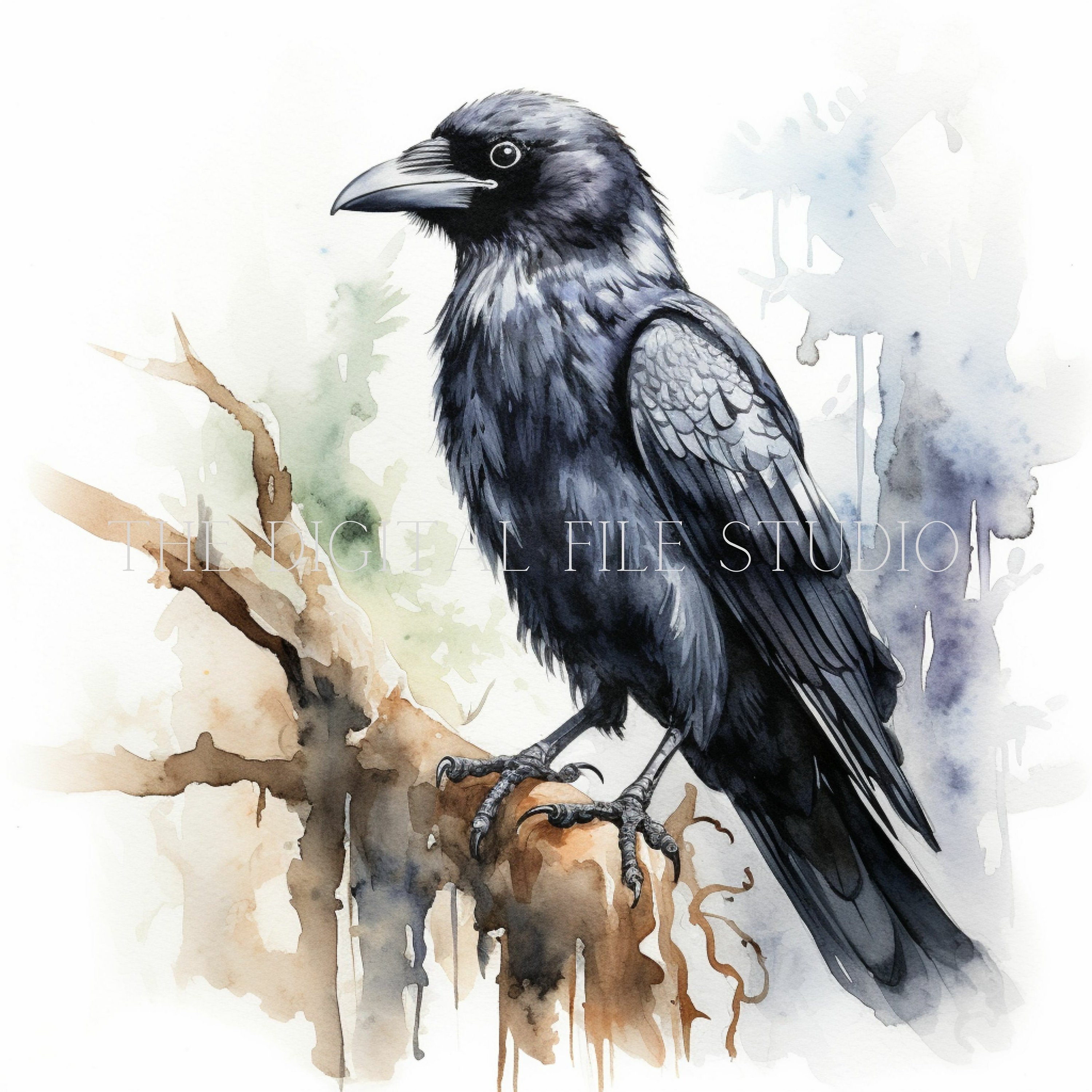 12 Crow PNGJPGPDF Clipart 12 Digital Download Animal Images Animal Art ...
