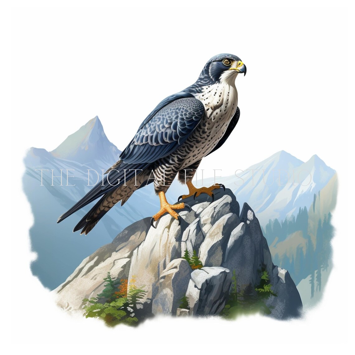 Falcon Clipart PNGJPGPDF Peregrine Falcon Watercolor 20 Digital ...