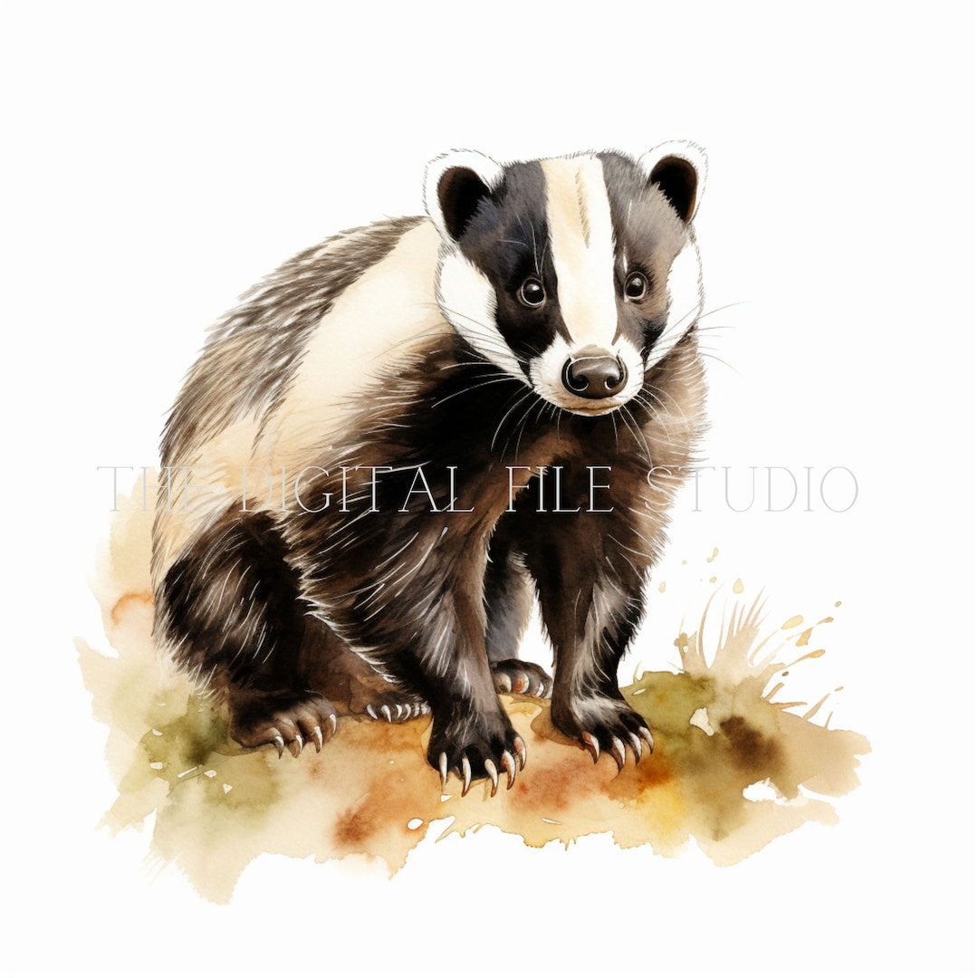 12 Badger PNGJPGPDF Clipart 12 Digital Download Animal Images Animal ...