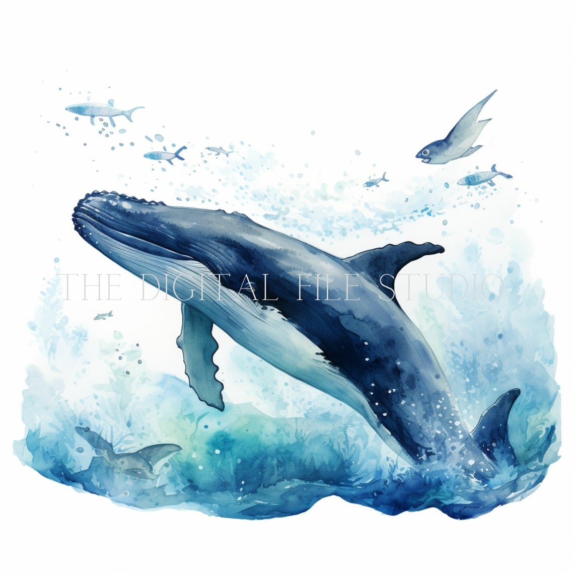 12 Whale PNGJPGPDF Clipart 12 Digital Download Animal Images Animal Art ...