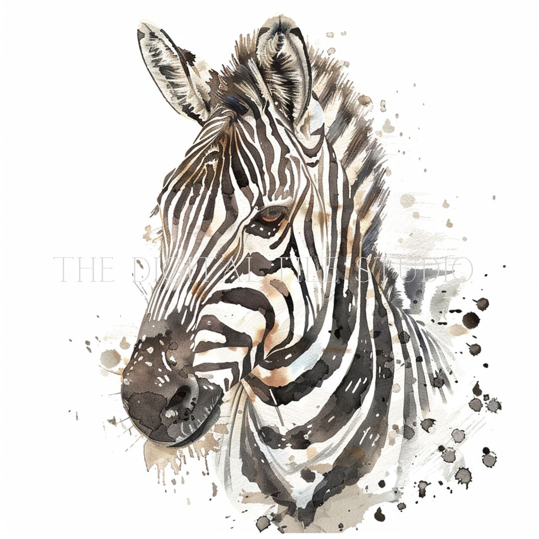 12 Zebra PNGJPGPDF Clipart 12 Digital Download Animal Images Animal Art ...