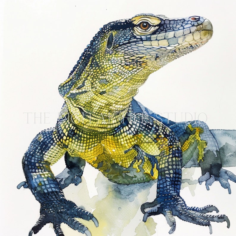 12 Monitor Lizard PNGJPGPDF Clipart 12 Digital Download Animal Images ...