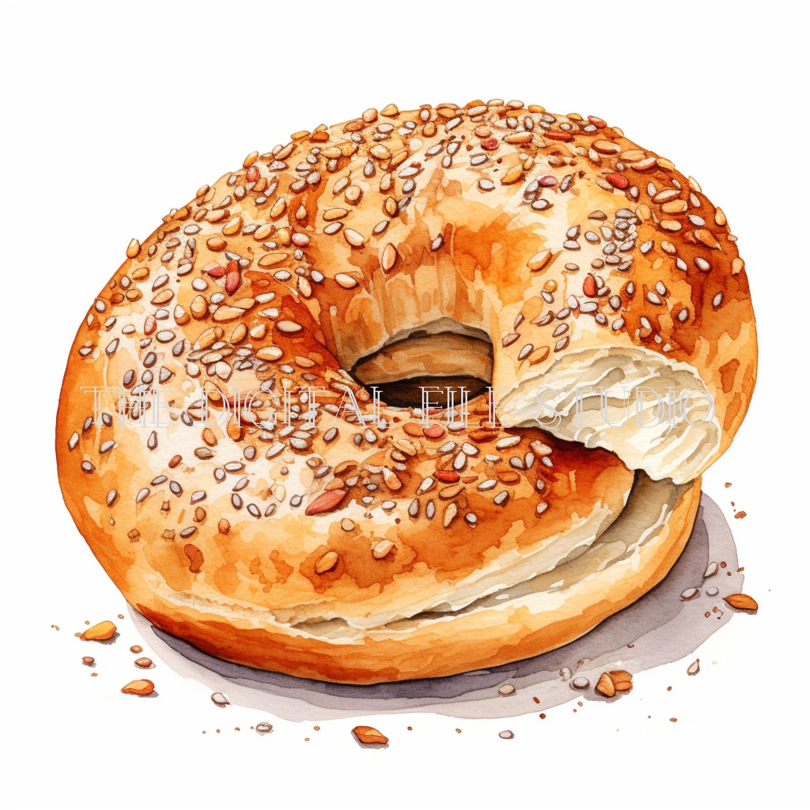 12 Watercolor Bagels Clipart PNGJPGPDF Bagels Digital Images Bagels ...