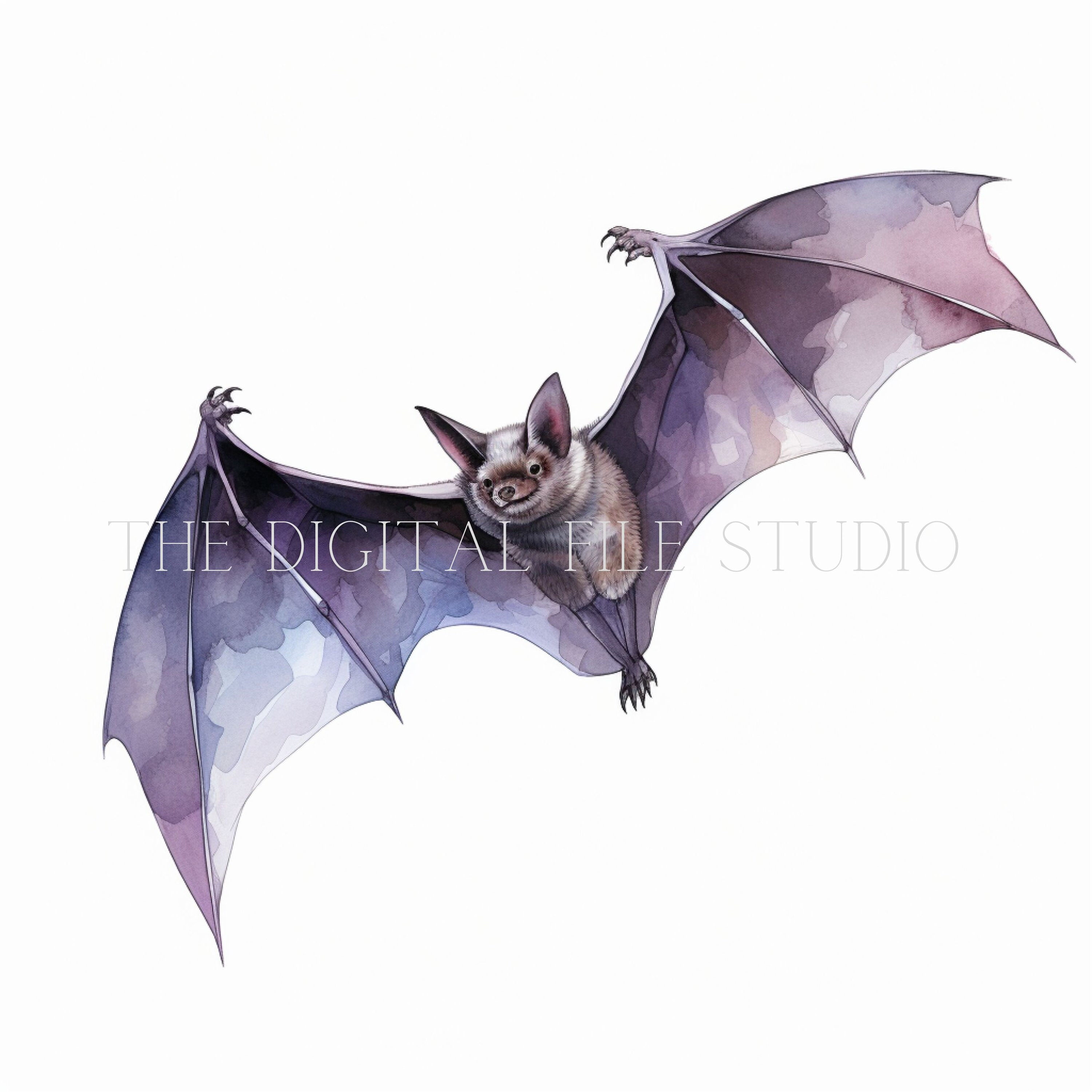12 Bat PNGJPGPDF Clipart 12 Digital Download Animal Images Animal Art ...