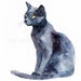 12 High-quality Korat Cat PNG JPG PDF Cat Clipart Watercolor Card ...