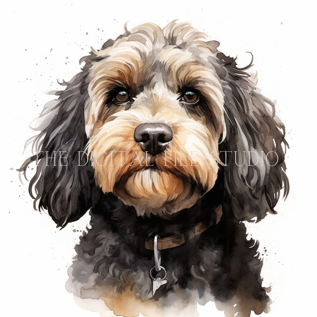 12 High-quality Cockapoo PNG JPG PDF Dog Clipart Watercolor Card Making ...