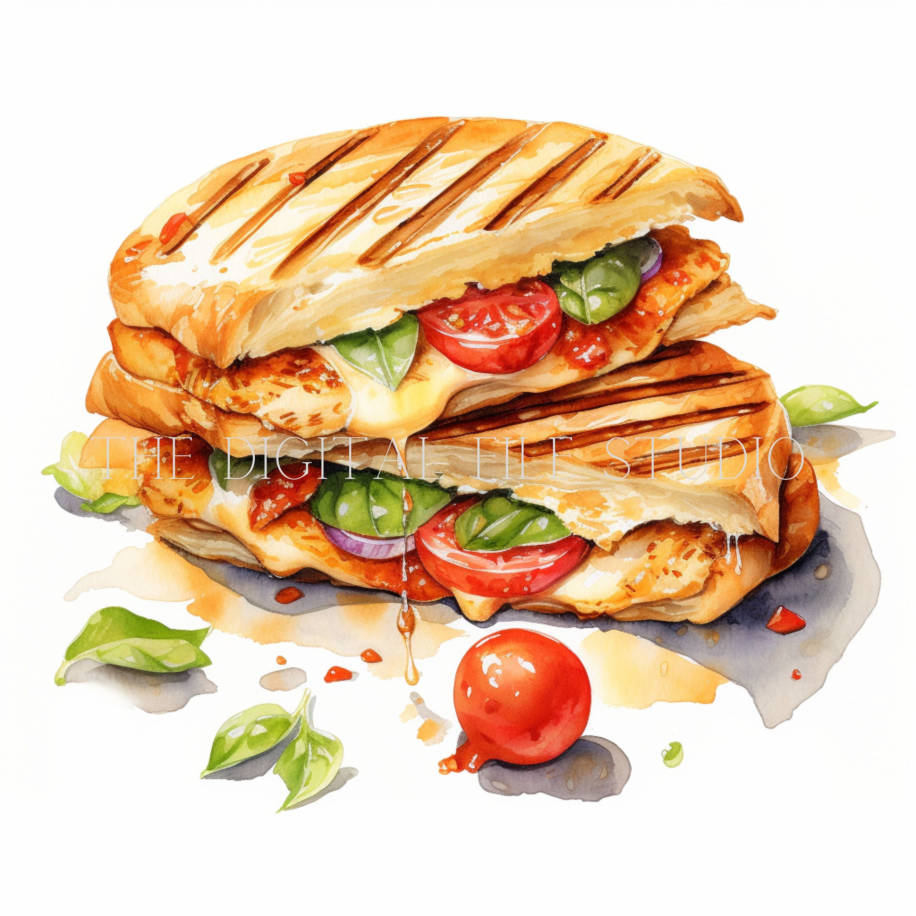 12 Watercolor Chicken Panini Clipart PNGJPGPDF Digital Images Graphics ...