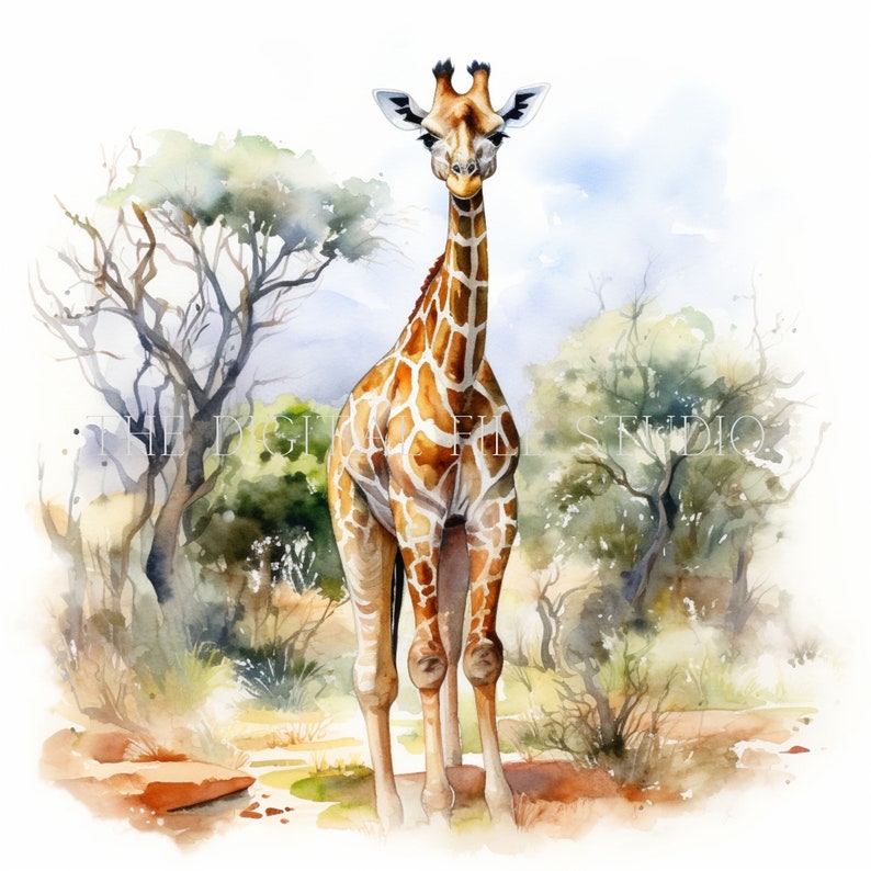Giraffe Clipart Tribute to Africa's Giant 24 Digital Download Animal ...