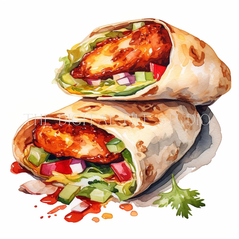 12 Watercolor Chicken Wrap Clipart PNGJPGPDF Chicken Wrap Digital ...