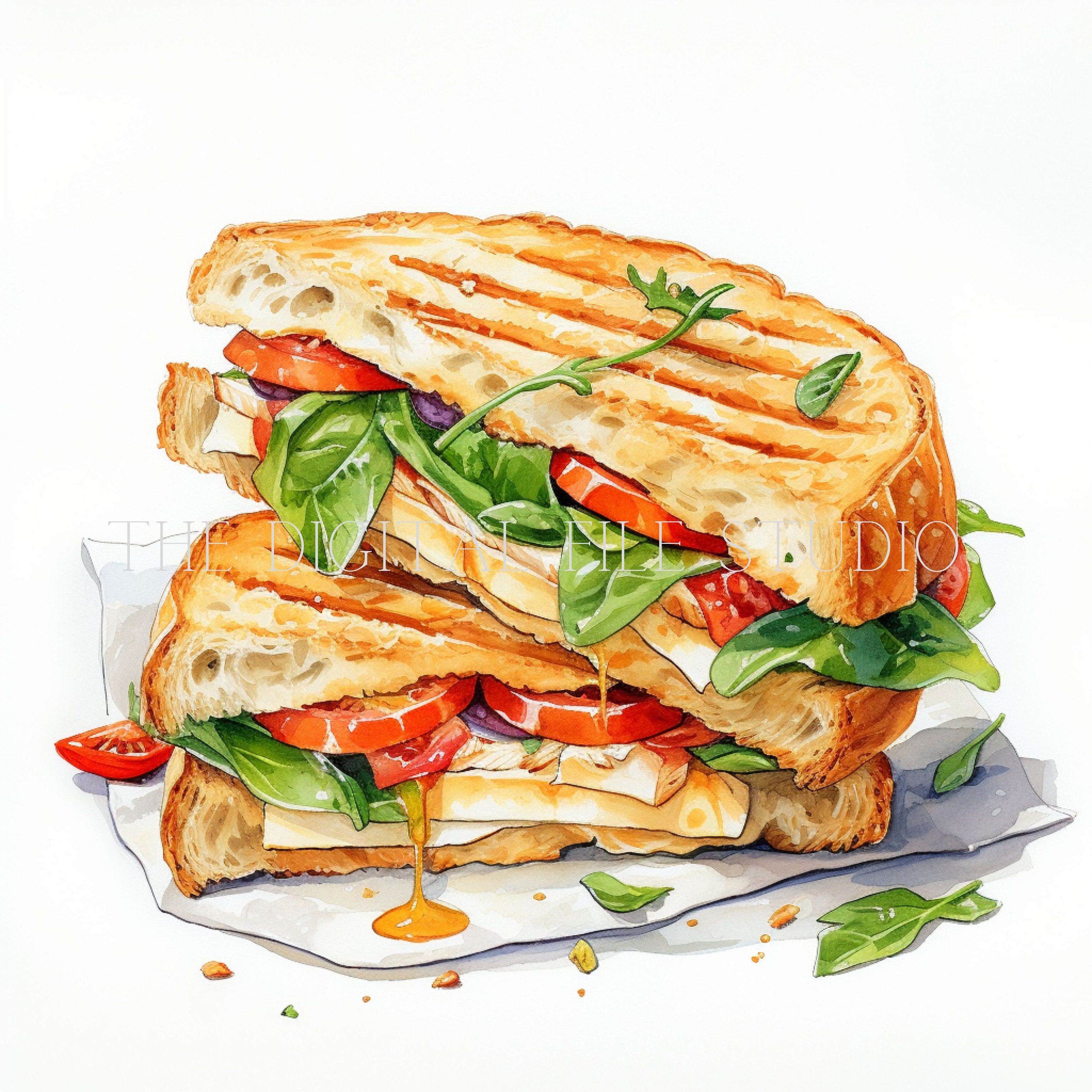 12 Watercolor Chicken Panini Clipart PNGJPGPDF Digital Images Graphics ...