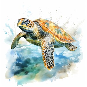 12 Turtle PNGJPGPDF Clipart Digital Download Animal Images Wildlife Art ...