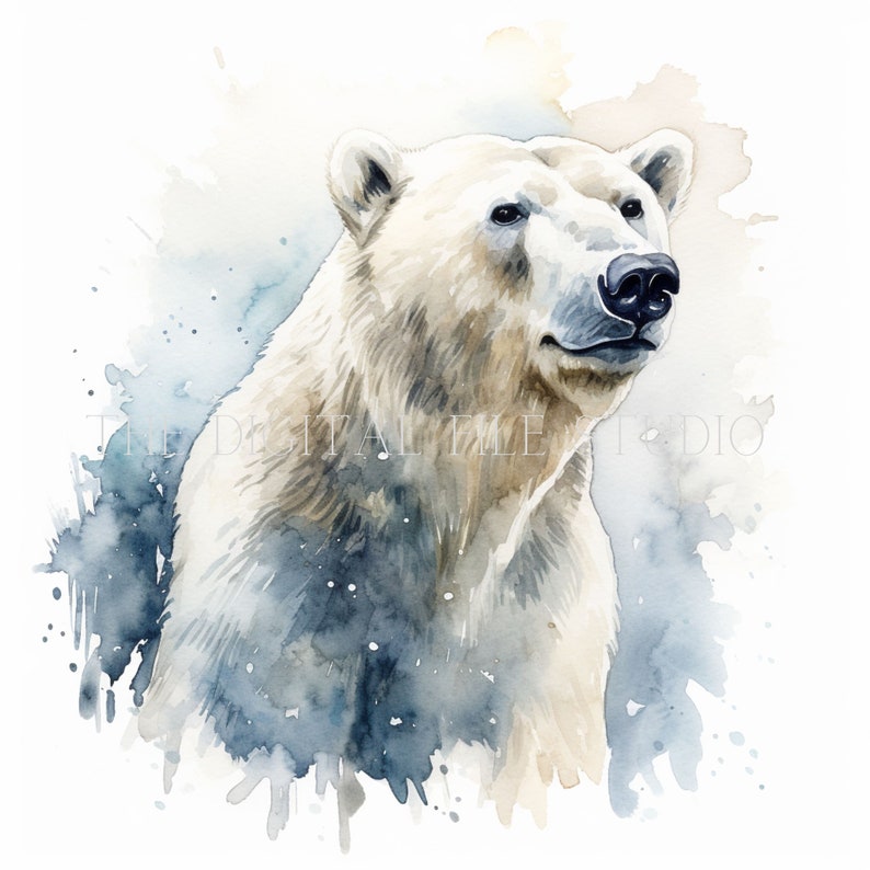 12 Polar Bear PNGJPGPDF Clipart Digital Download Animal Images Wildlife ...