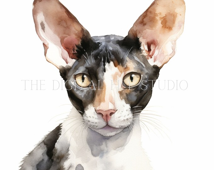 Cornish Rex Cat Svg, Cat Svg, Pet Svg, Cornish Rex Cat Dxf, Cat Png ...