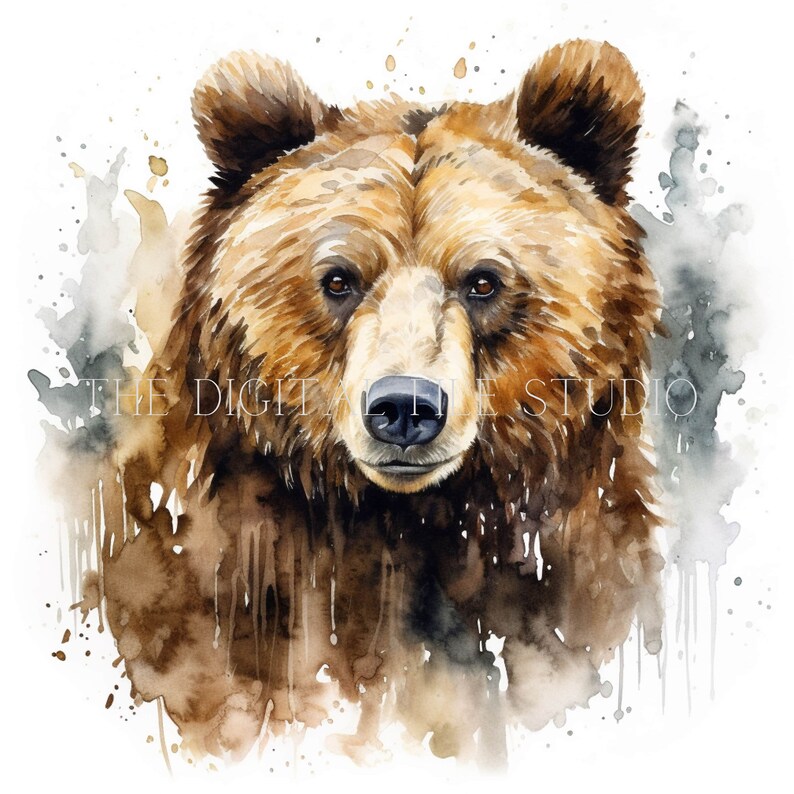 12 Brown Bear PNGJPGPDF Clipart Digital Download Animal Images Wildlife ...