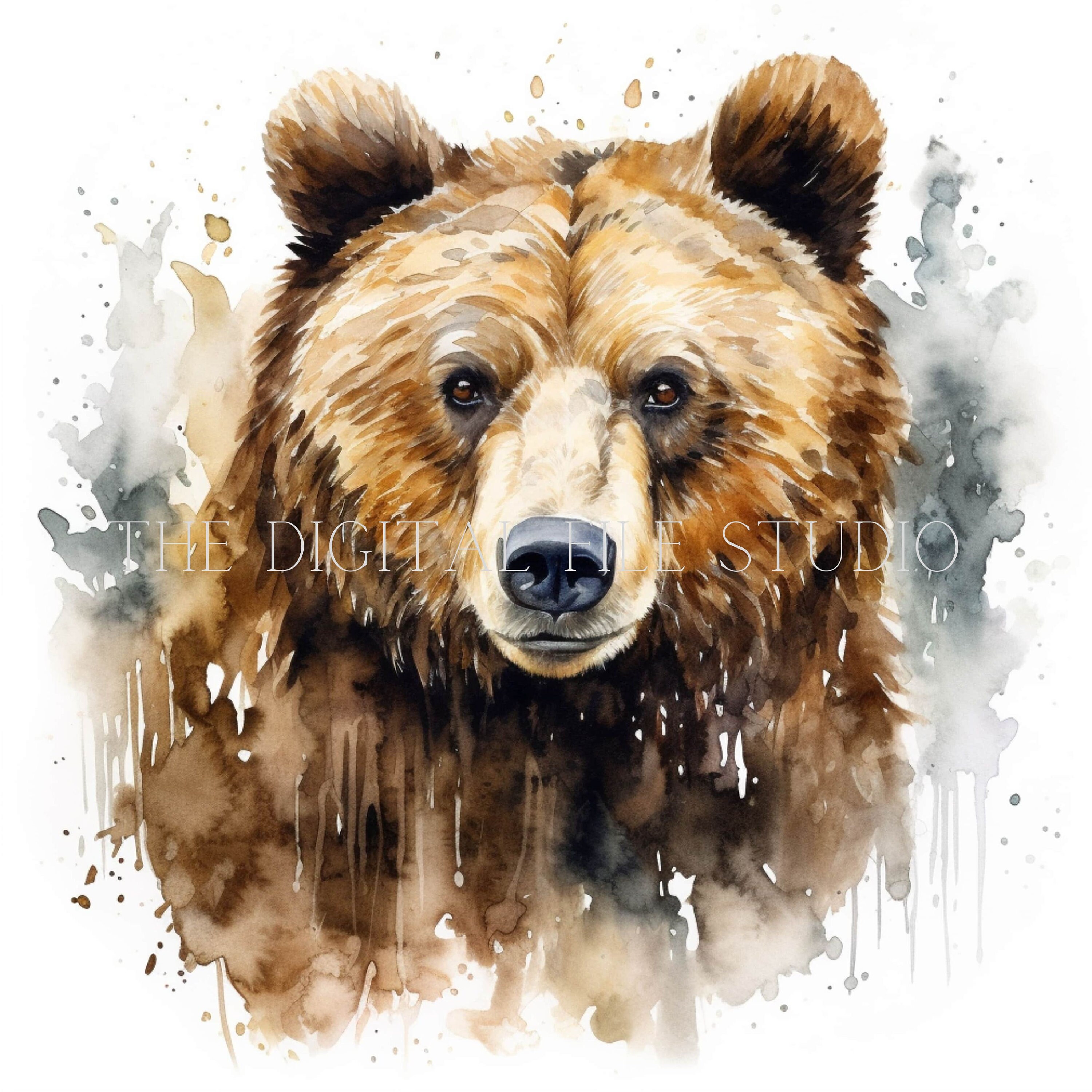 12 Brown Bear PNGJPGPDF Clipart Digital Download Animal Images Wildlife ...