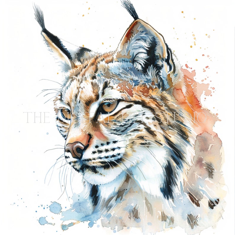 12 Lynx PNGJPGPDF Clipart 12 Digital Download Animal Images Animal Art ...