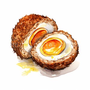 12 Watercolor Scotch Eggs Clipart PNGJPGPDF Scotch Eggs Digital Images ...