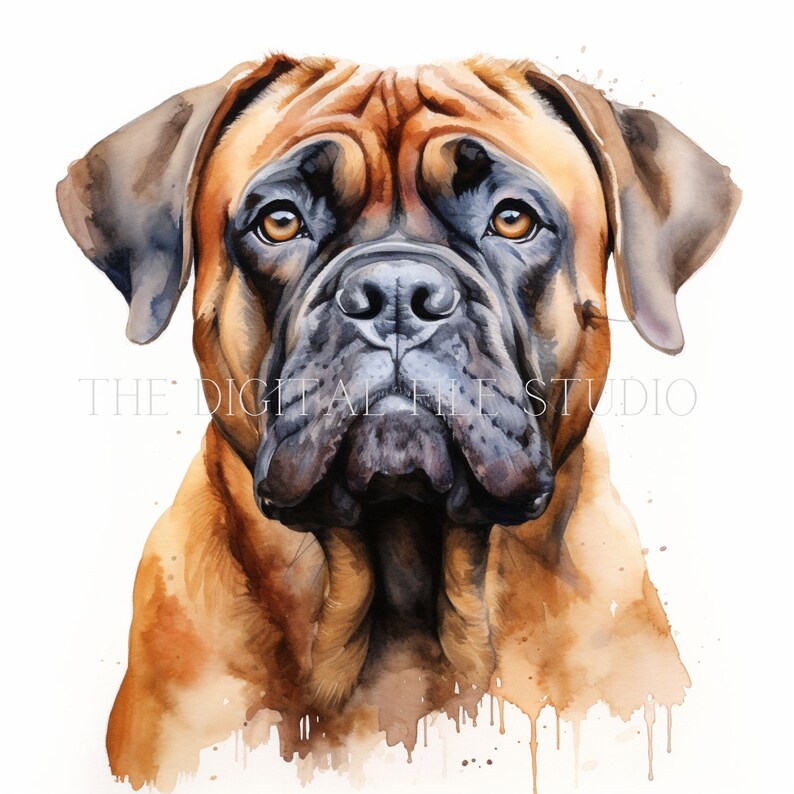 12 High-quality Bullmastiff PNG JPG PDF Dog Clipart Watercolor Card ...
