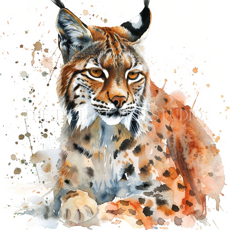 12 Lynx PNGJPGPDF Clipart 12 Digital Download Animal Images Animal Art ...