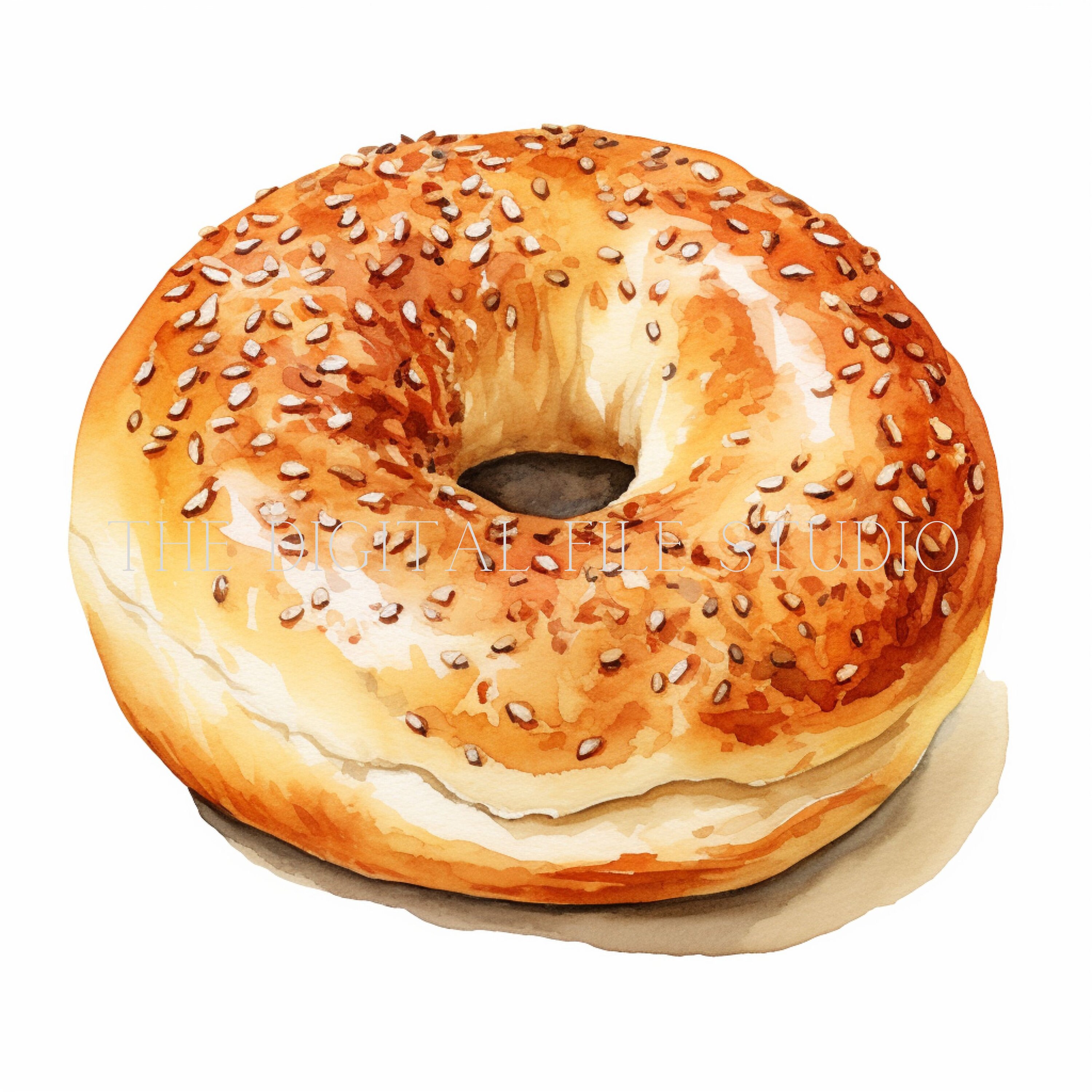 12 Watercolor Bagels Clipart PNGJPGPDF Bagels Digital Images Bagels ...